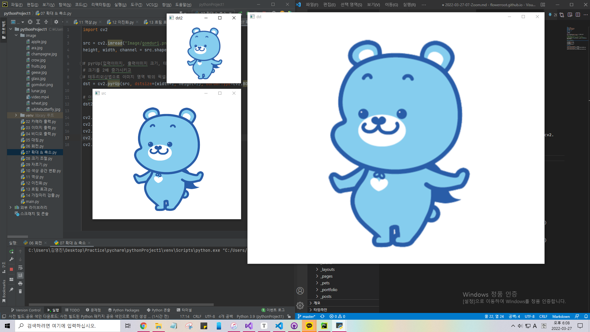 [Python OpenCV] Zoom in and out. | flowerroot